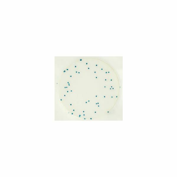 Petrifilm 3M rapid aerobic count plate