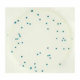 Petrifilm 3M rapid aerobic count plate